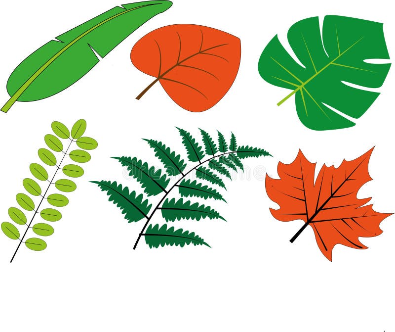 Paku Stock Illustrations – 2 Paku Stock Illustrations, Vectors ...