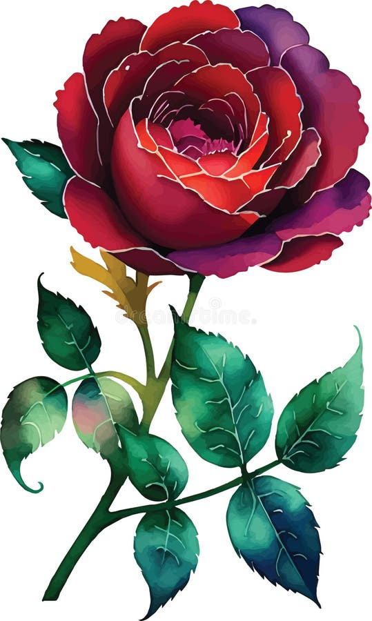 Vector Illustration of Pink Purple Rose and Green Leaves Isolated on ...