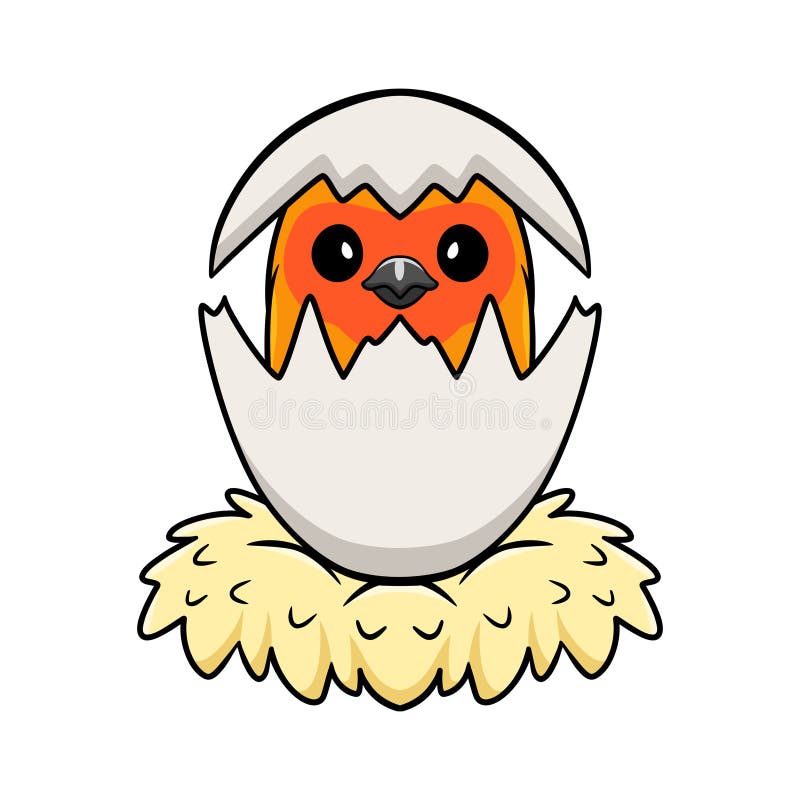 Cute Sun Conure Parrot Cartoon Inside from Egg Stock Illustration ...