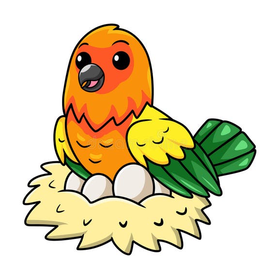 Cute Sun Conure Parrot Cartoon with Eggs in the Nest Stock Vector ...