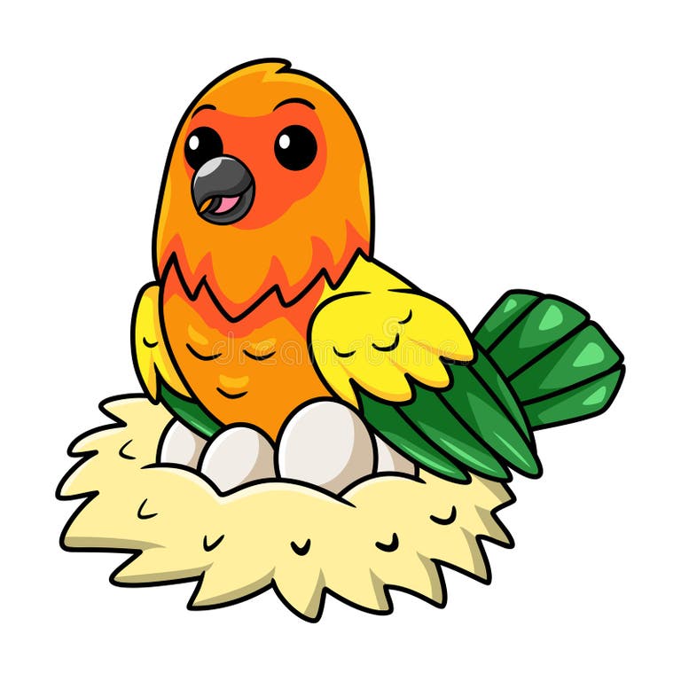 Cute Sun Conure Parrot Cartoon with Eggs in the Nest Stock Vector ...