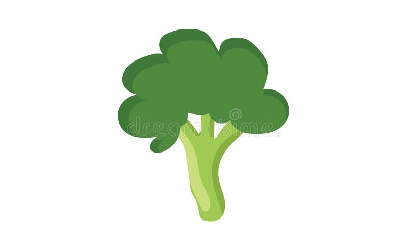Simple Broccoli Clipart Vector Illustration. Fresh Broccoli Cartoon ...