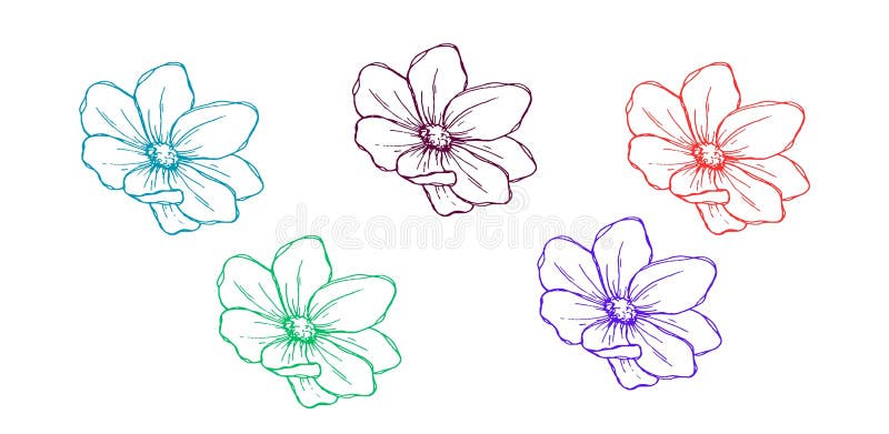 Five Set of Floral Pattern Illustration Stock Illustration ...