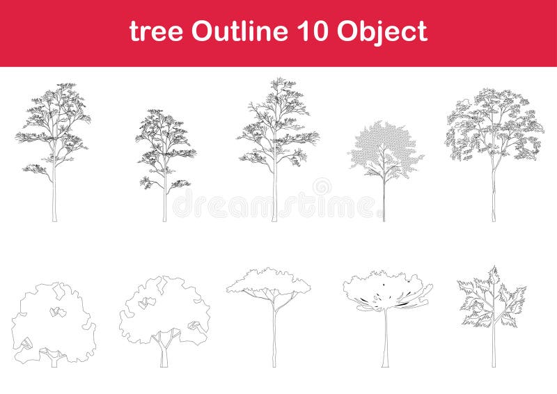 Tree Line Drawing, Side View, Graphics Trees Elements Single Object ...