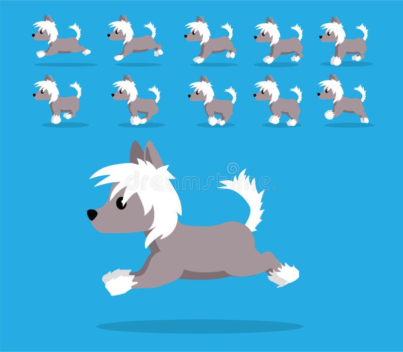 Animal Animation Sequence Dog Chinese Crested Cartoon Vecto Stock ...