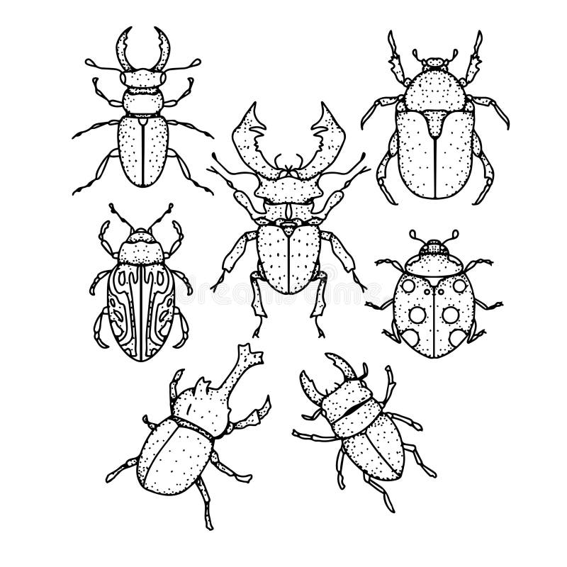 Flea Doodle Stock Illustrations – 335 Flea Doodle Stock Illustrations ...