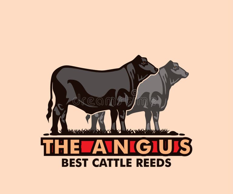 GREAT ANGUS BULL FARM LOGO stock vector. Illustration of ranch - 284575635