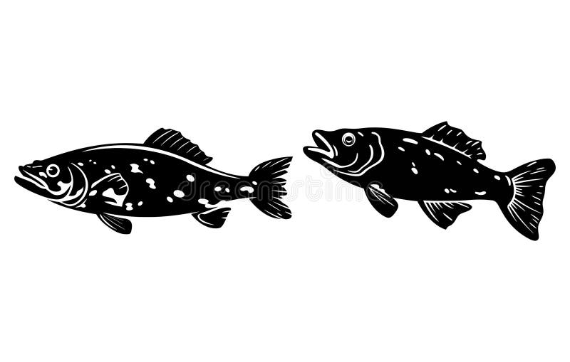 Codfish Vector Illustration, Silhouette of Fish Codfish,Cod Fish ...