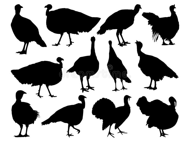 Set of Turkey Silhouette Vector Art on a White Background Stock Vector ...