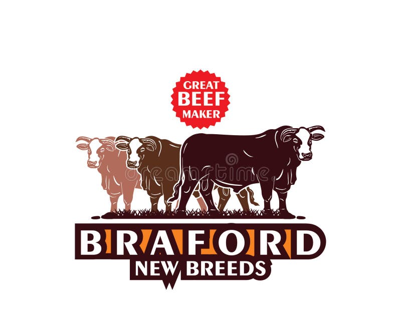 Braford New Breed the Beef Maker Stock Vector - Illustration of cattle ...