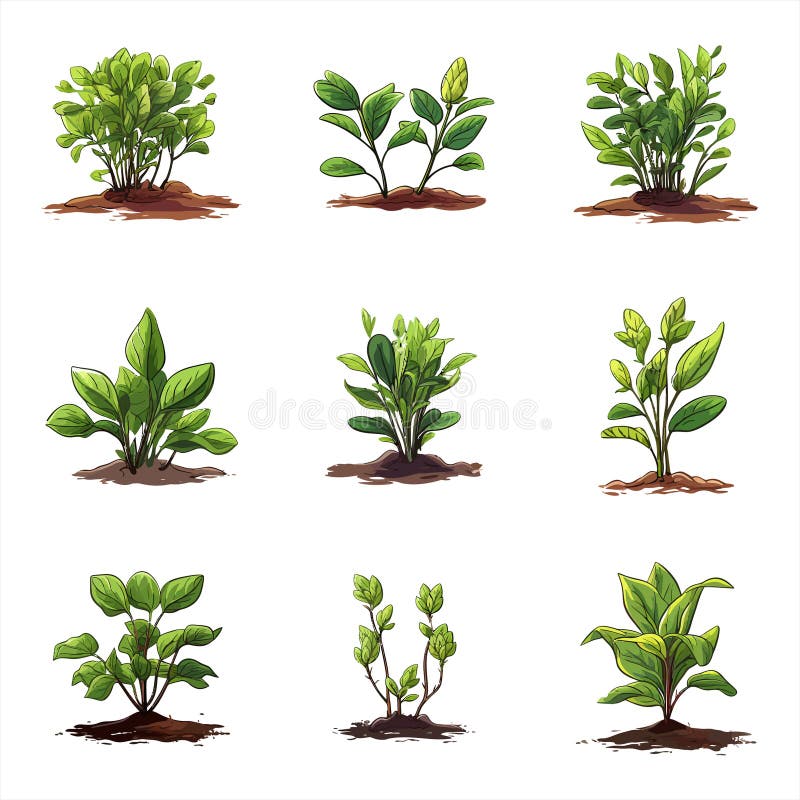 Seedling Icon Isolated on White Background. Vector Illustrations Stock ...
