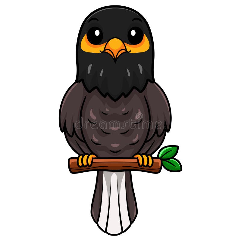 Cute Myna Bird Cartoon on Tree Branch Stock Vector - Illustration of ...