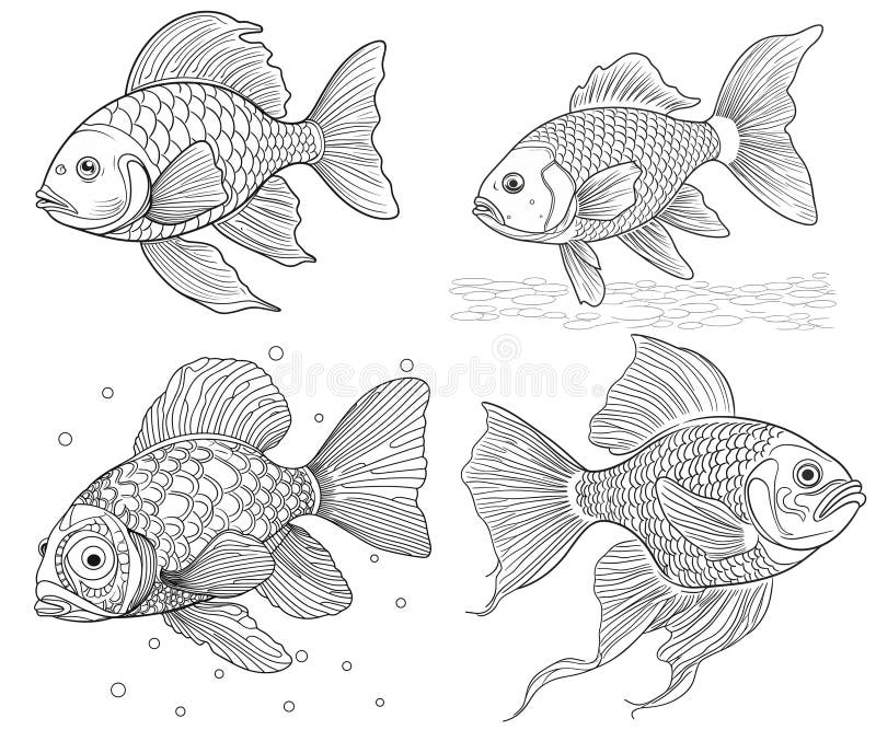 Clownfish Outline Illustration Set, Zentangle Stylized Fish Species ...