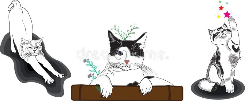 Pet Outline Drawing Gift for Cat Lover Digital Art File Stock Vector ...