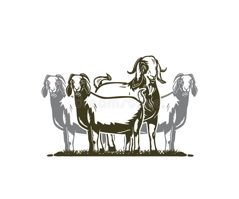 Savanna Couple Goats in Farm Stock Vector - Illustration of farm, fauna ...