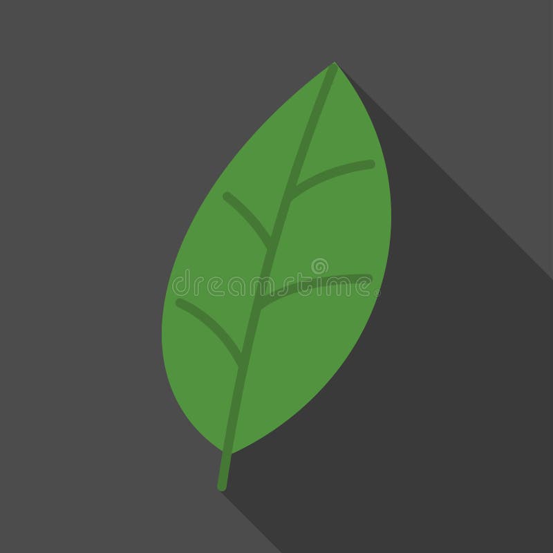 Green Leaf on Black Background Flat Icon with Long Shadow. Biology Icon ...