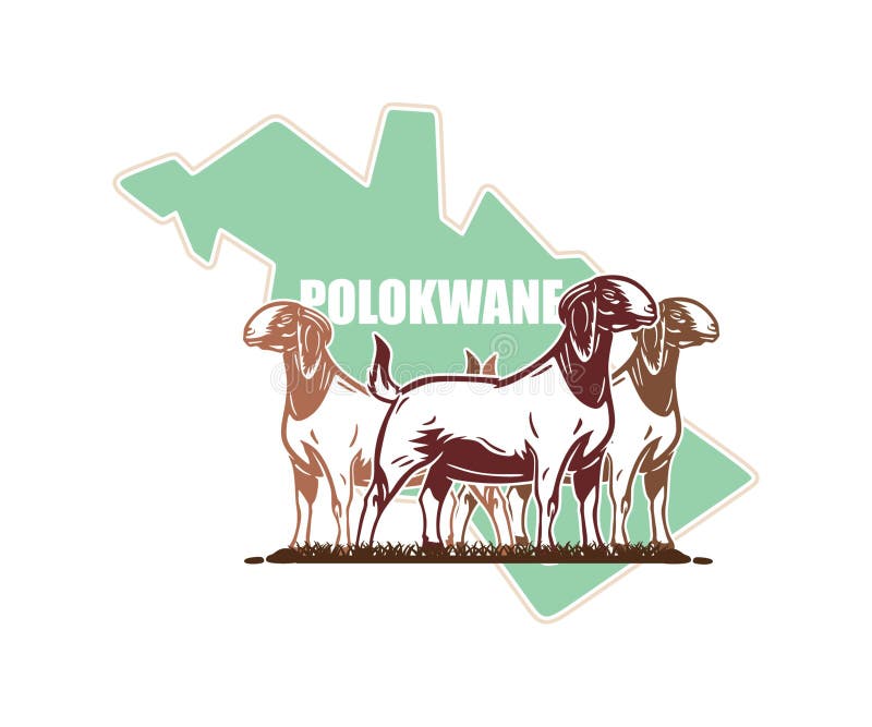 Great Boer Goat Standing in Farm Logo Stock Vector - Illustration of ...