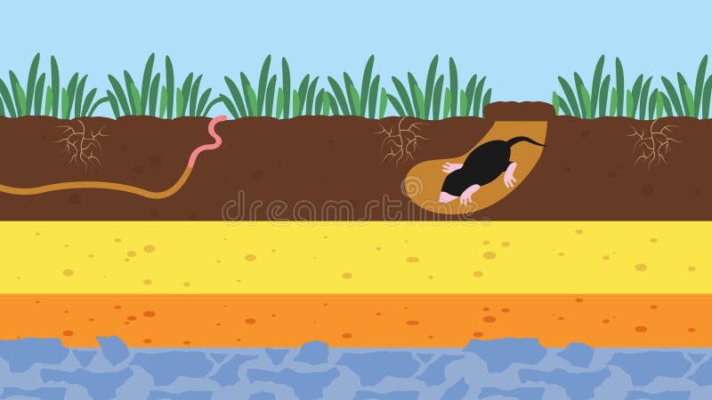 Worm Digging Stock Illustrations – 179 Worm Digging Stock Illustrations ...