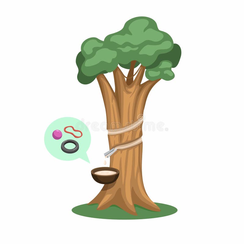 Harvesting Natural Rubber Latex Stock Illustrations – 9 Harvesting ... Harvesting Natural Rubber Latex Stock Illustrations – 9 Harvesting ...