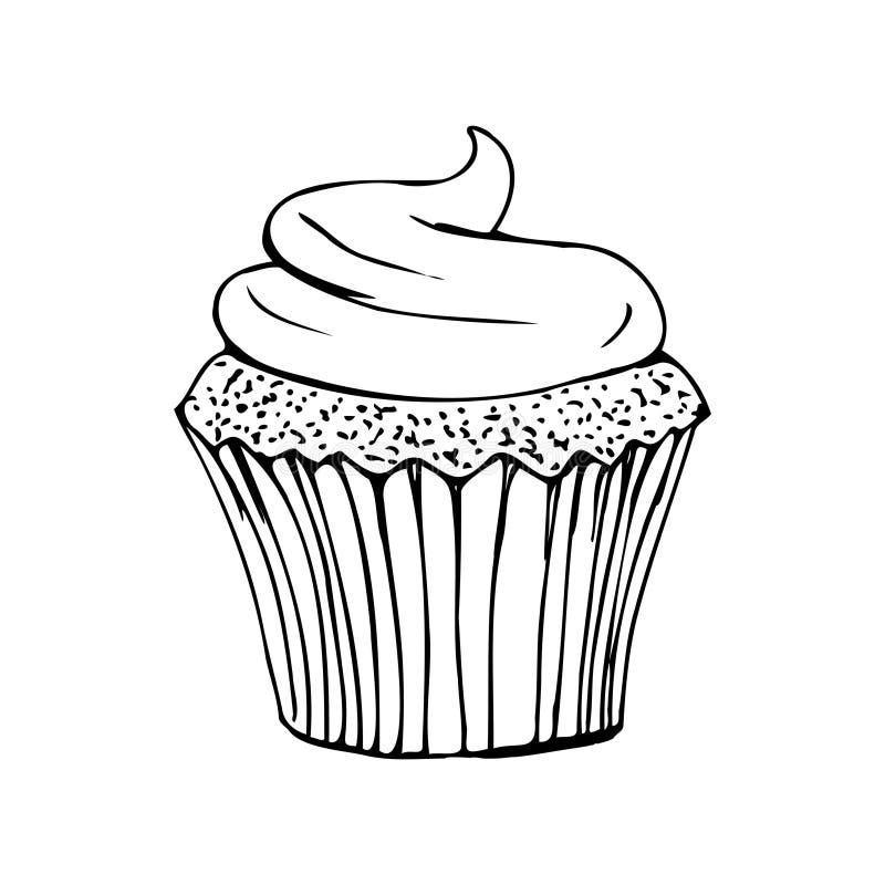Cupcake drawing. Line art stock vector. Illustration of design - 291987223