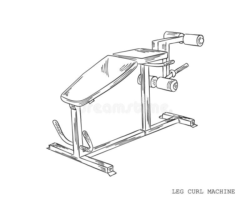 Leg Curl Machine Stock Illustrations – 79 Leg Curl Machine Stock ...