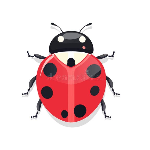 Red Ladybug Vector Illustration Stock Vector - Illustration of vector ...