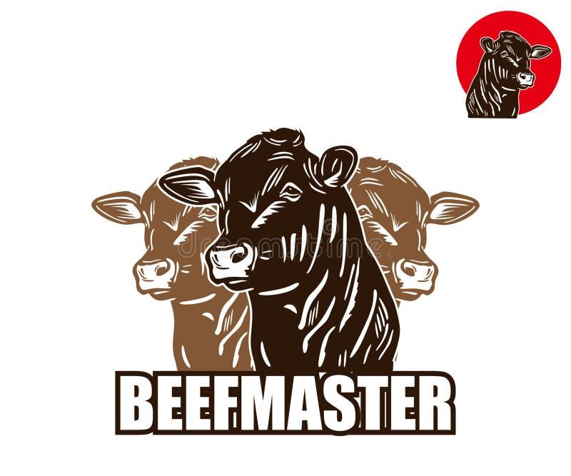 Beefmaster Cow Head Logo for Faring Stock Vector - Illustration of icon ...