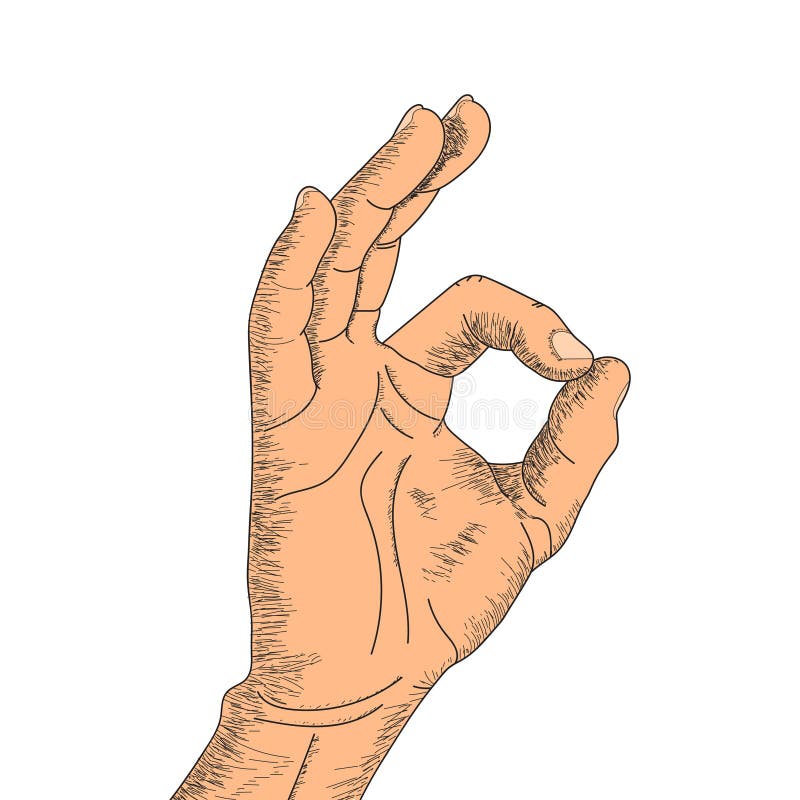 Okay, OK or Ring Hand Gesture Sign Line Art Vector Stock Vector ...