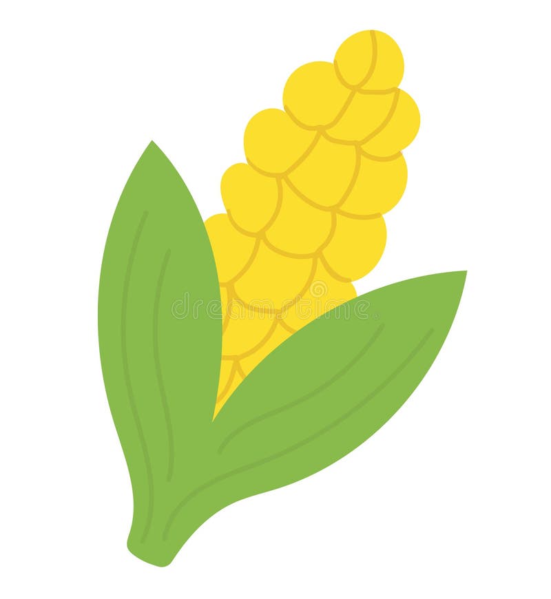 Corn on the Cob. Maize Icon Flat Illustration. Harvest Vector Symbol ...