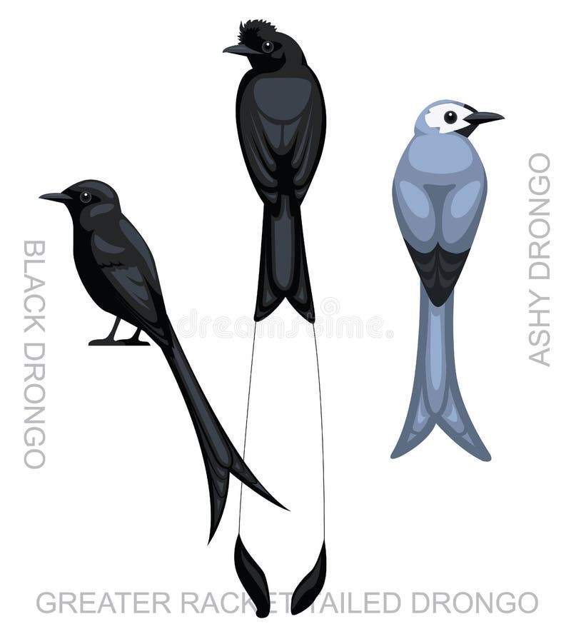 Cute Bird Southern Lapwing Set Cartoon Vector Stock Vector ...