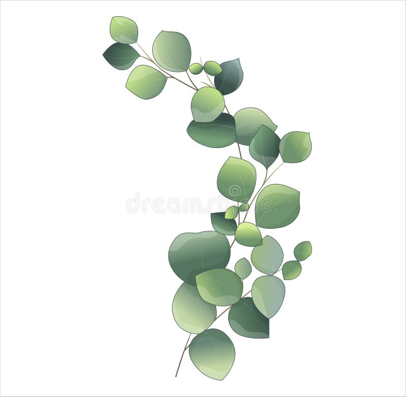 Gum Tree Flower Cartoon Stock Illustrations – 41 Gum Tree Flower ...