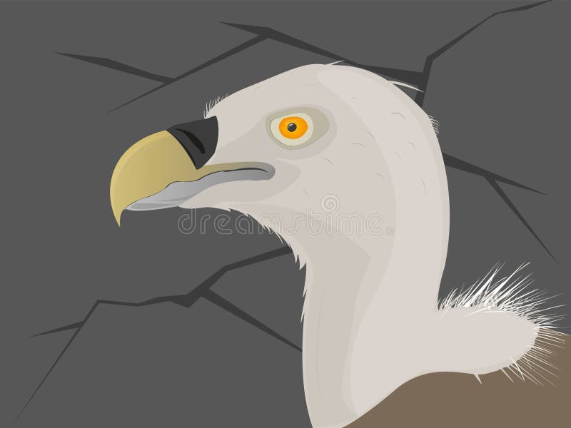 Evil Griffon Stock Illustrations – 103 Evil Griffon Stock Illustrations ...