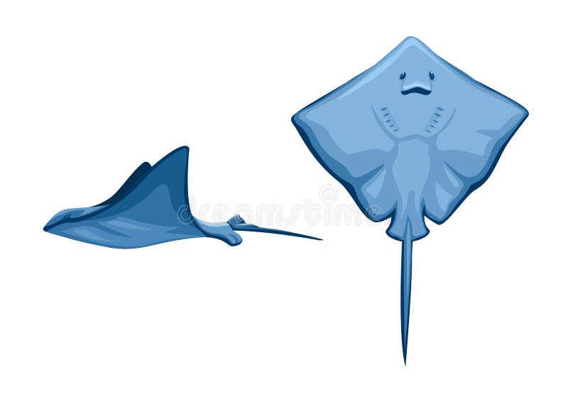 Stingray Fish Aquatic Animal Species Cartoon Illustration Vector Stock ...