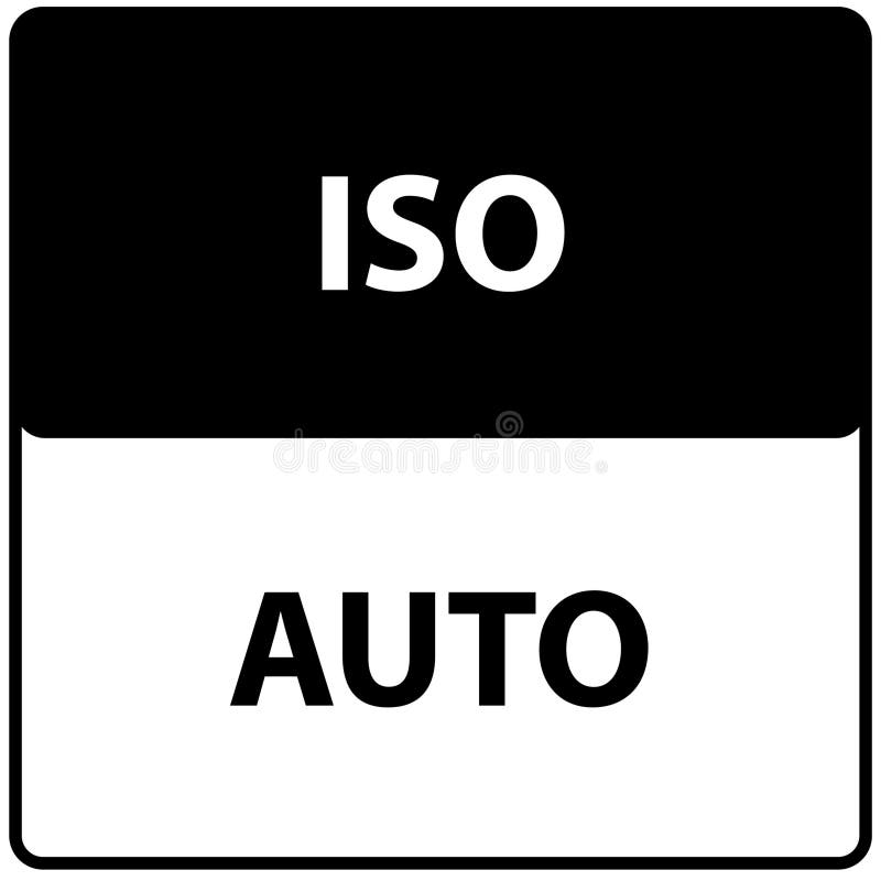 ISO AUTO camera icon set. stock vector. Illustration of grey - 294879181