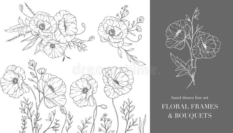 Poppy Flower Line Art. Floral Frames and Bouquets Line Art Stock ...
