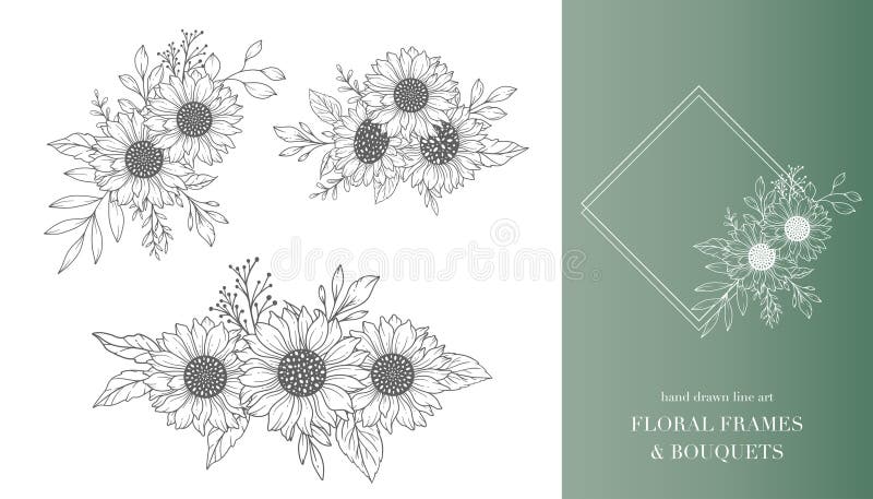 Sunflowers Line Art, Sunflower Frames. Floral Frames and Bouquets Line ...