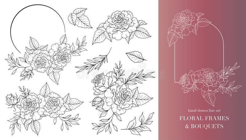 Floral Line Art. Rose Flower Outline. Hand Drawn Outline Roses Isolated ...