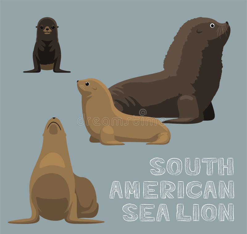 South American Sea Lion Cartoon Vector Illustration Stock Vector ...
