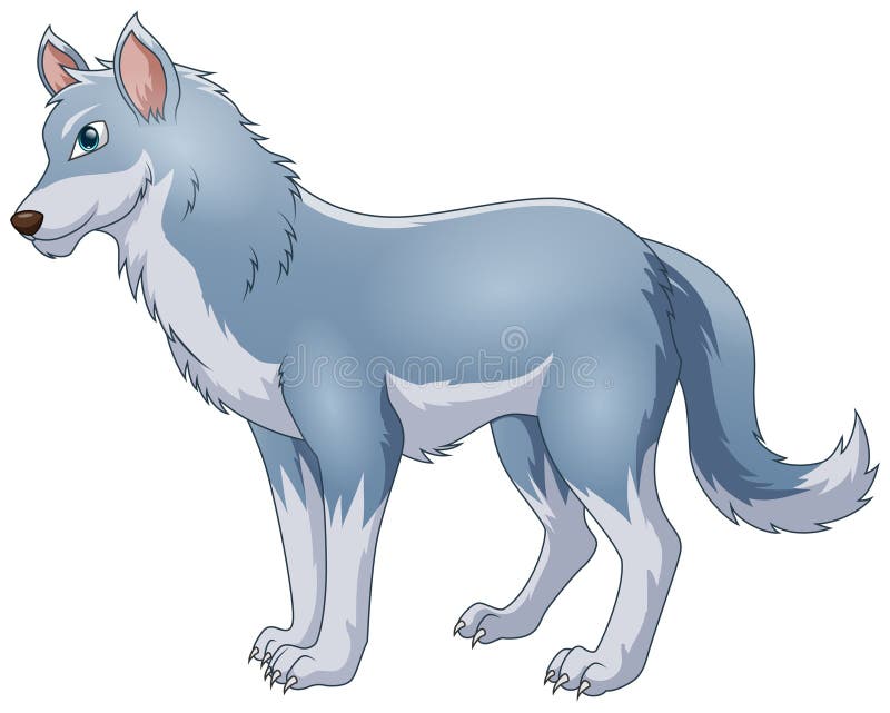 Grey Wolf on a White Background. Stock Illustration - Illustration of ...