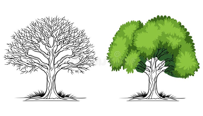 Outline of Vector Trees on a White Background Stock Vector ...