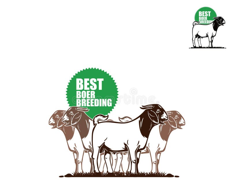 Big and Strong Boer Goat Standing Logo Stock Illustration ...