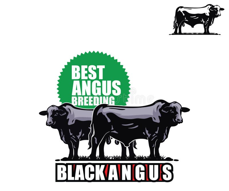 Black Angus Best Breeding Cattle Logo Stock Vector - Illustration of ...