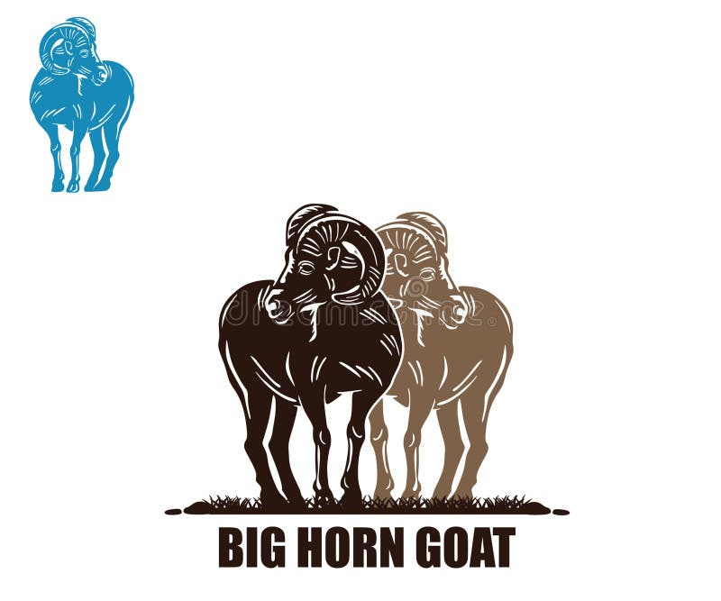 Bighorn Goats Stand Proudly on the Farm Stock Vector - Illustration of ...