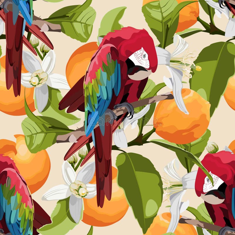 Tropical Birds Parrot, Exotic Jungle Plants, Leaves, Flowers Abstract ...