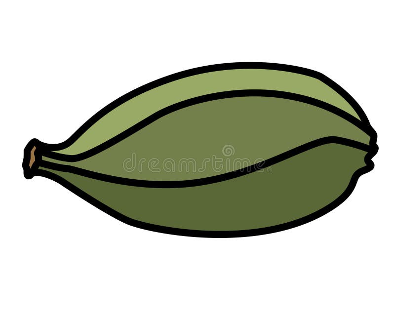 Cardamom Pod with Seeds, Spices - Vector Full Color Picture. Stock ...