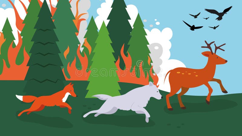 Deer, Fox and Wolf in the Forest. Vector Illustration. Stock Vector ...