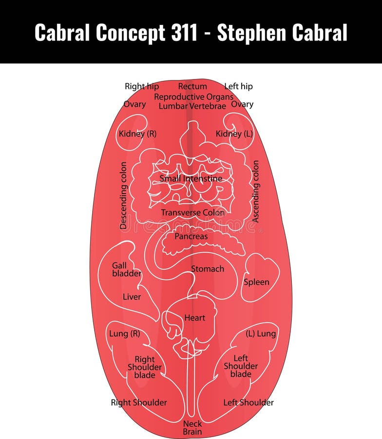 Cabral Vector Stock Illustrations – 5 Cabral Vector Stock Illustrations ...