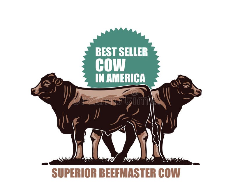 Beefmaster Cattle Stock Illustrations – 6 Beefmaster Cattle Stock ...