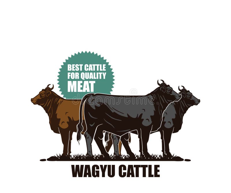 Wagyu Japan Cow Breeder Logo Stock Vector - Illustration of ...