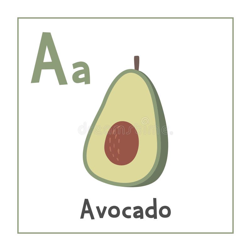 Avocado Clipart. Avocado Vector Illustration Cartoon Flat Style. Fruits ...